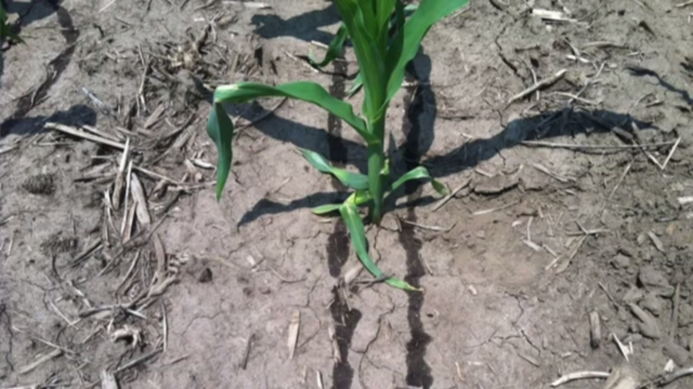 360 Y-Drop | Premium Ag Solutions | Hitterdal, MN | Here To Increase ...